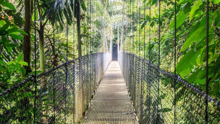 Arenal Volcano Tours - Top 5 + Tours in Arenal Costa Rica